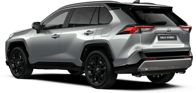 Toyota RAV4 Bi-Tone 5-deurs | Uitrusting en specificaties